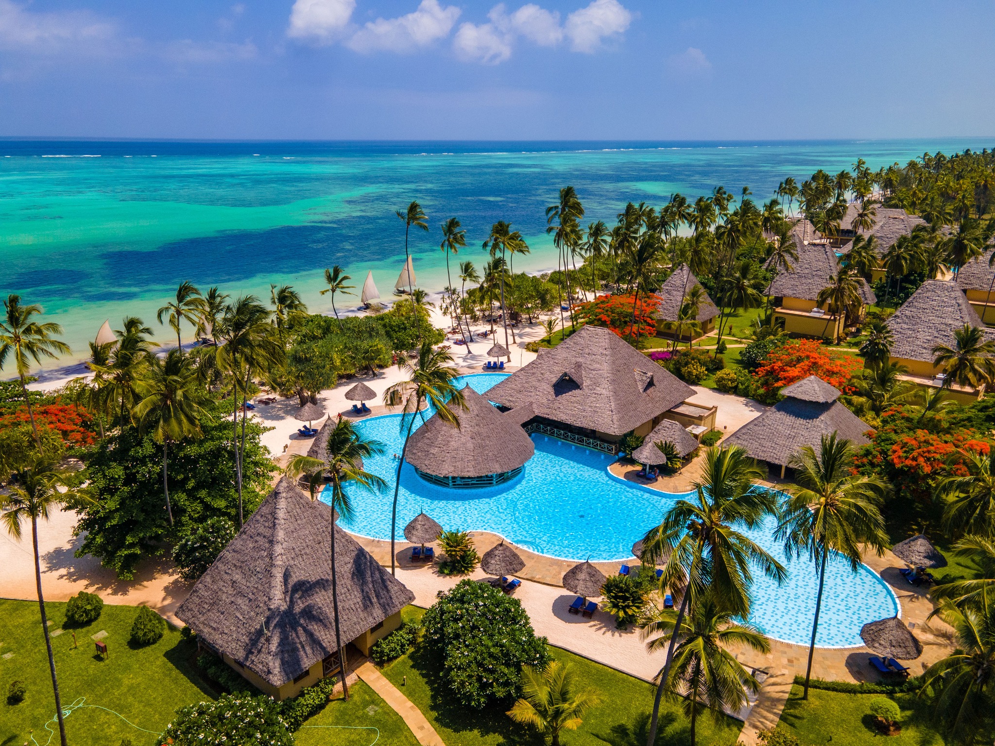 The Travel - Tour Travel